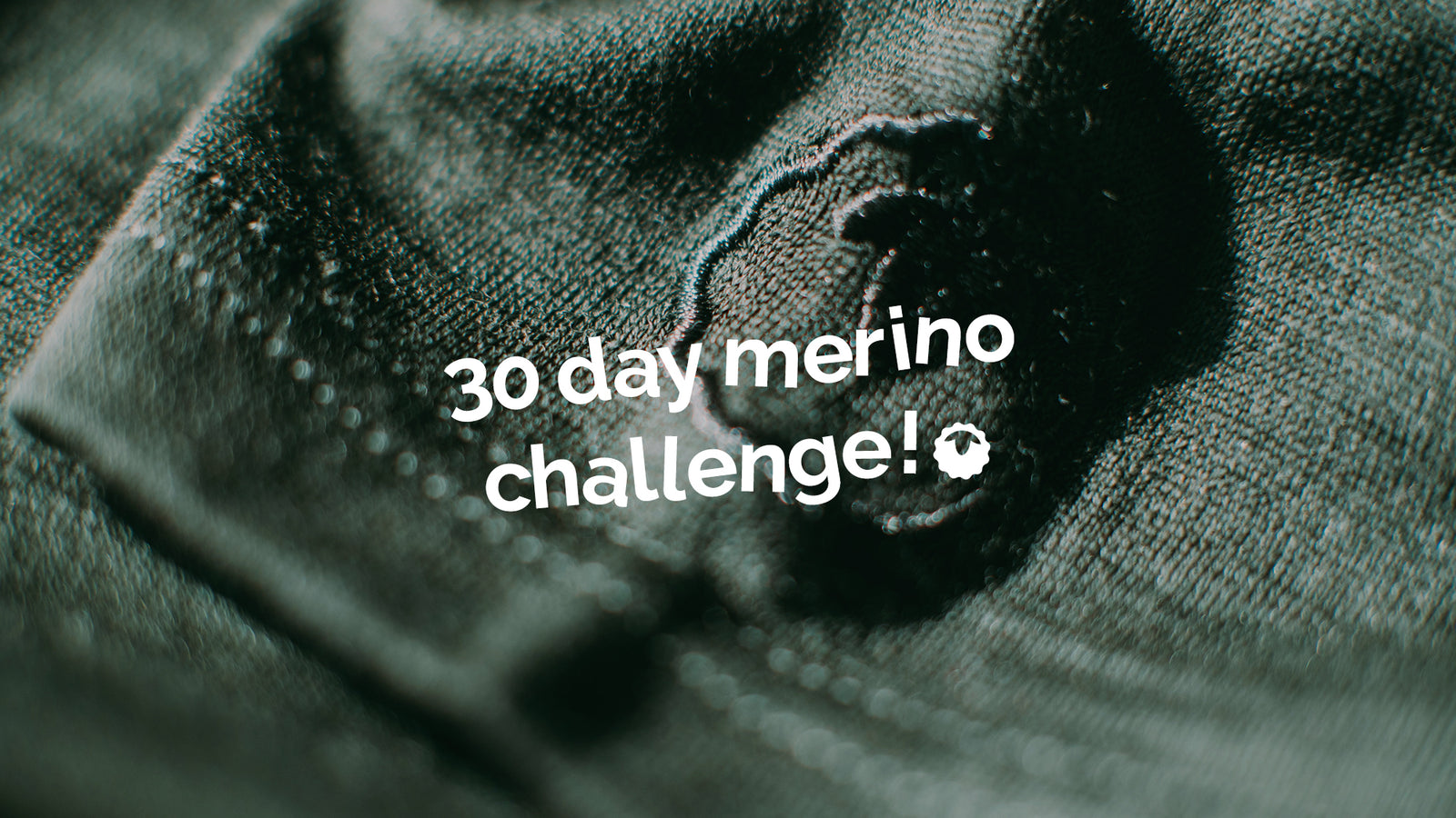 Understanding Merino Wool Grades